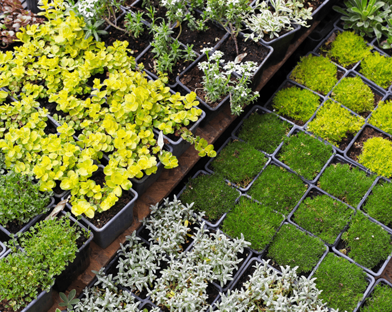 The Seeds of Success: Considering a Company’s Stage When Partnering ...